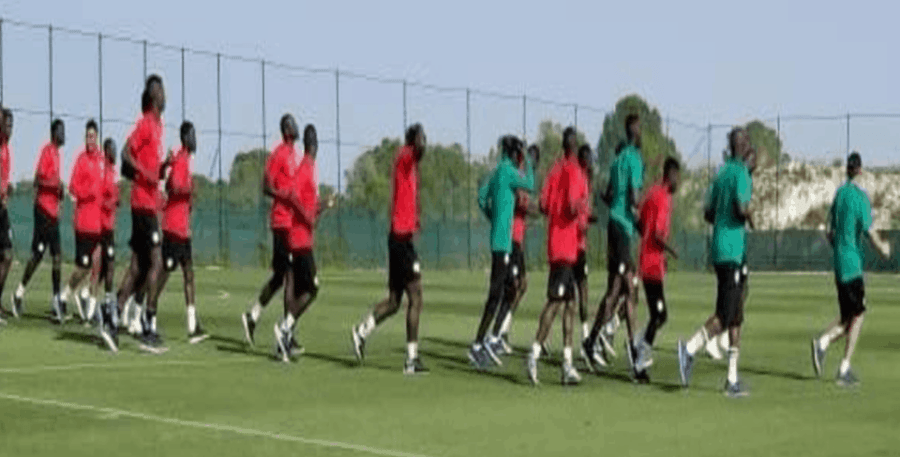 Deux galops d’entraînement intenses pour les Lions ce dimanche, en ...